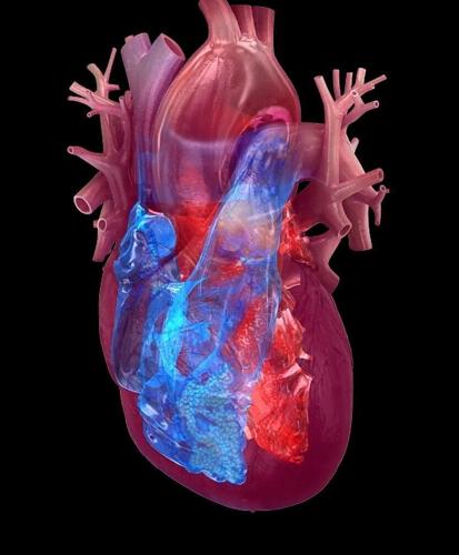 Chemicals in vapes trigger potentially deadly heart issue: study ...