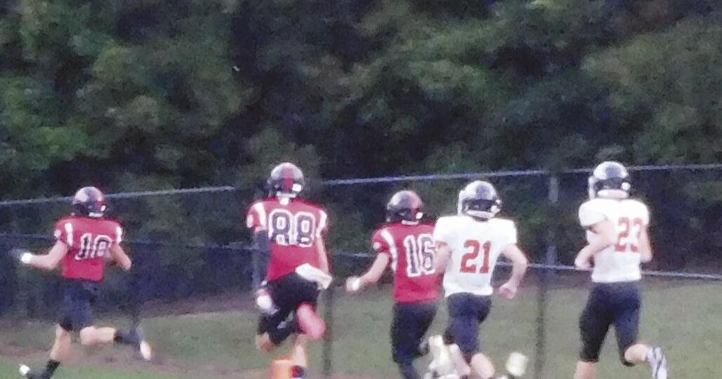 Bucs triumph over Panthers, 27-14 | Sports | mcduffieprogress.com