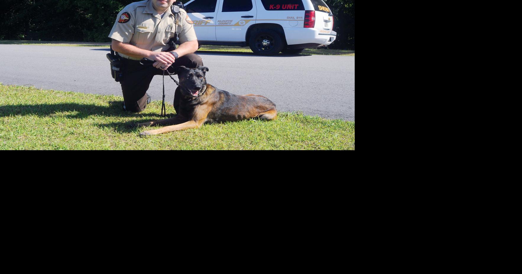 Ace K9 Heat Alarm will keep MCSO’s Khan safer | Local News ...