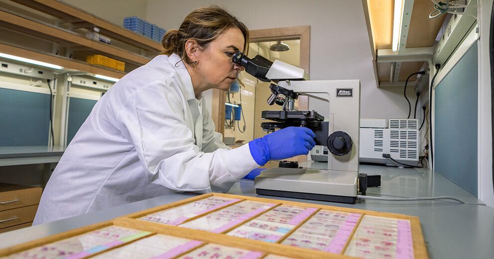 ALS advocates, researchers strive for a cure | News | mdislander.com