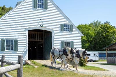 Acadia seeks operator for Wildwood Stables | Tourism | mdislander.com