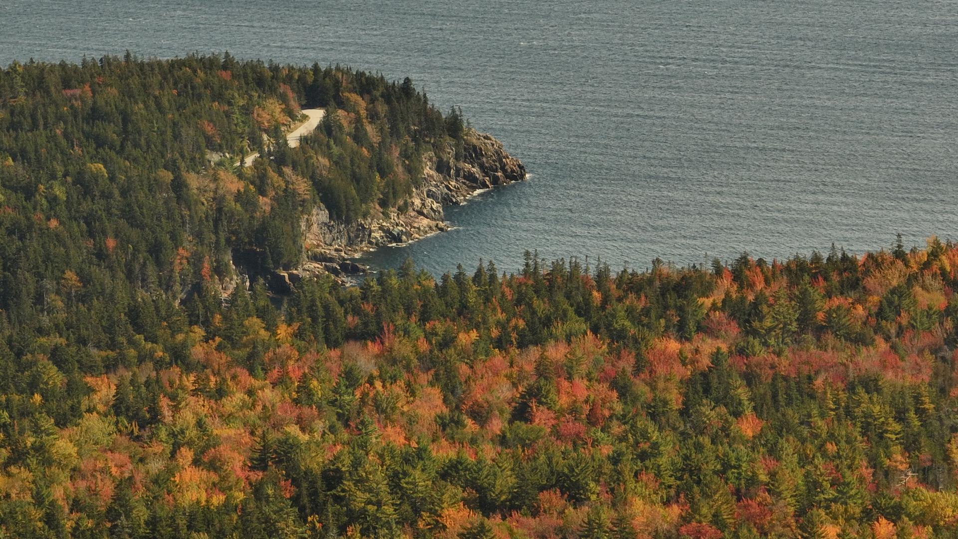 Fall foliage on Mount Desert Island not yet in full swing | Environment ...