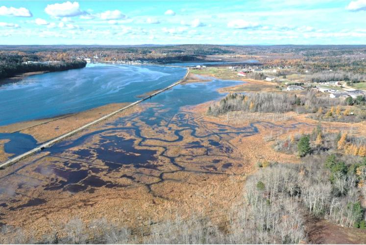 Salt marsh restoration effort looks to past and future | Maritime ...