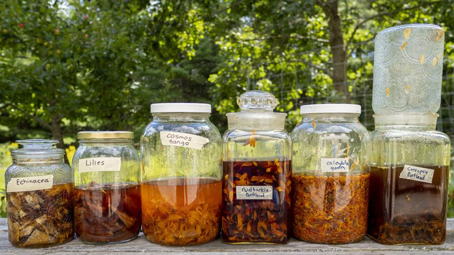 Stories in cloth: Shira's Singer's reflections on her Fulbright ...