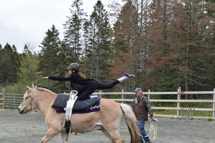 Willowind Therapeutic Riding Center creates sensory trail | Arts ...