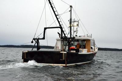 Advisory Council hammers out draft scallop calendar | Maritime ...