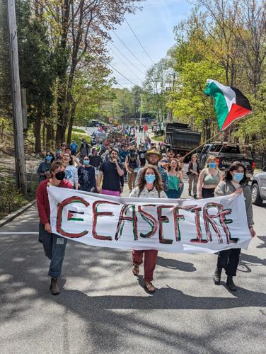 March for Peace in Palestine | | mdislander.com