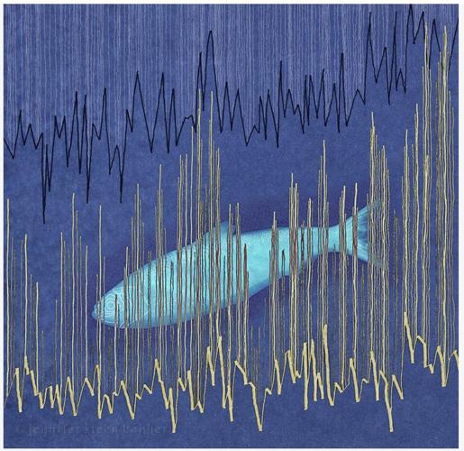 Bar Harbor artist Jennifer Steen Booher featured at Gilley in March ...