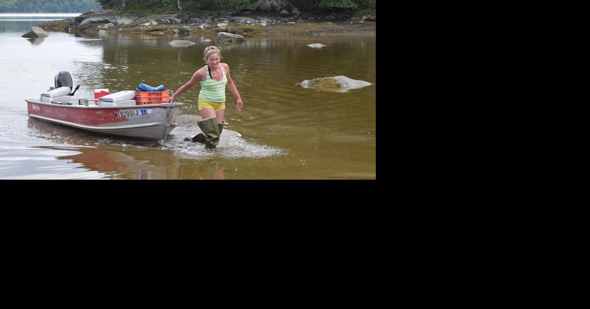 On the flats of Frenchman Bay, clammers dig deep | Maritime ...
