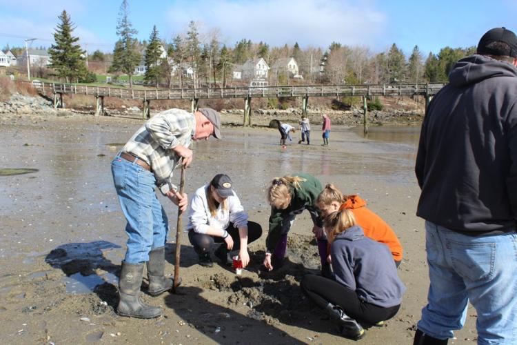 Science class on the clam flats | News | mdislander.com