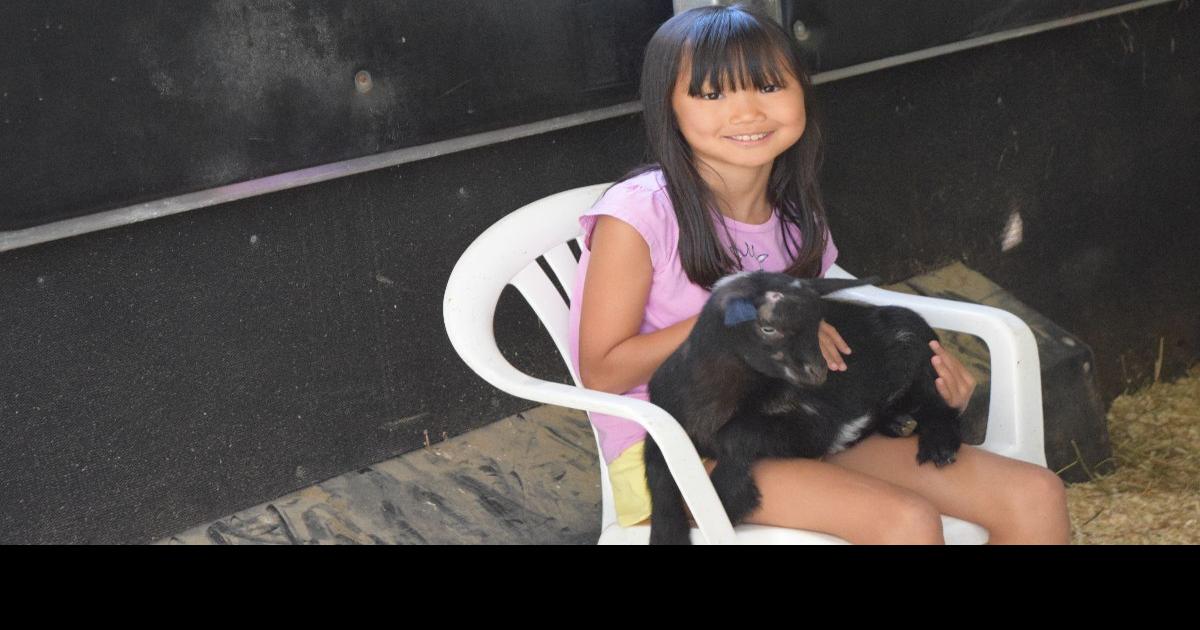 SPCA Pet Fair set at Woodlawn | Lifestyle | mdislander.com