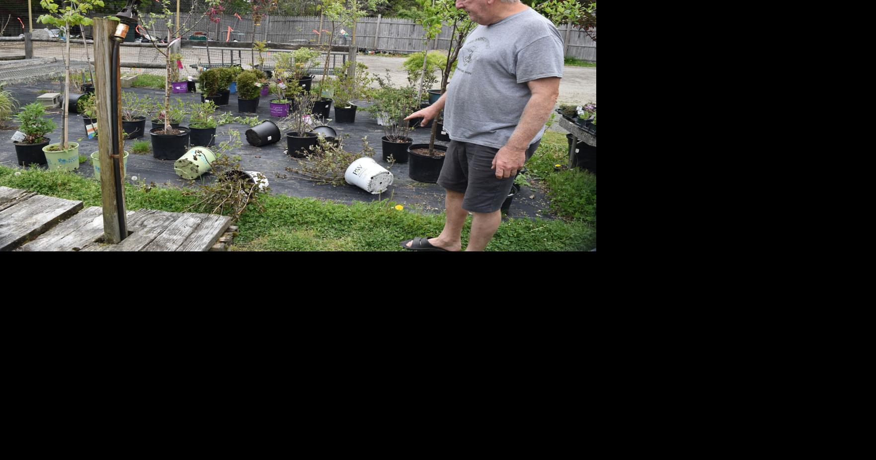 Unexpected visitors damage Seawall garden center | Environment ...