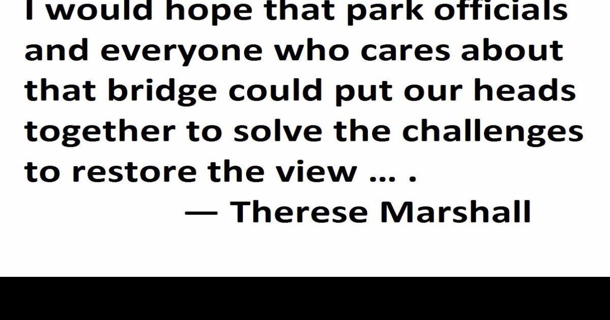 Bridging our differences | Commentary | mdislander.com