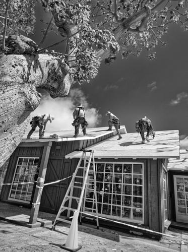 Photo club members help each other grow | Arts & Living | mdislander.com