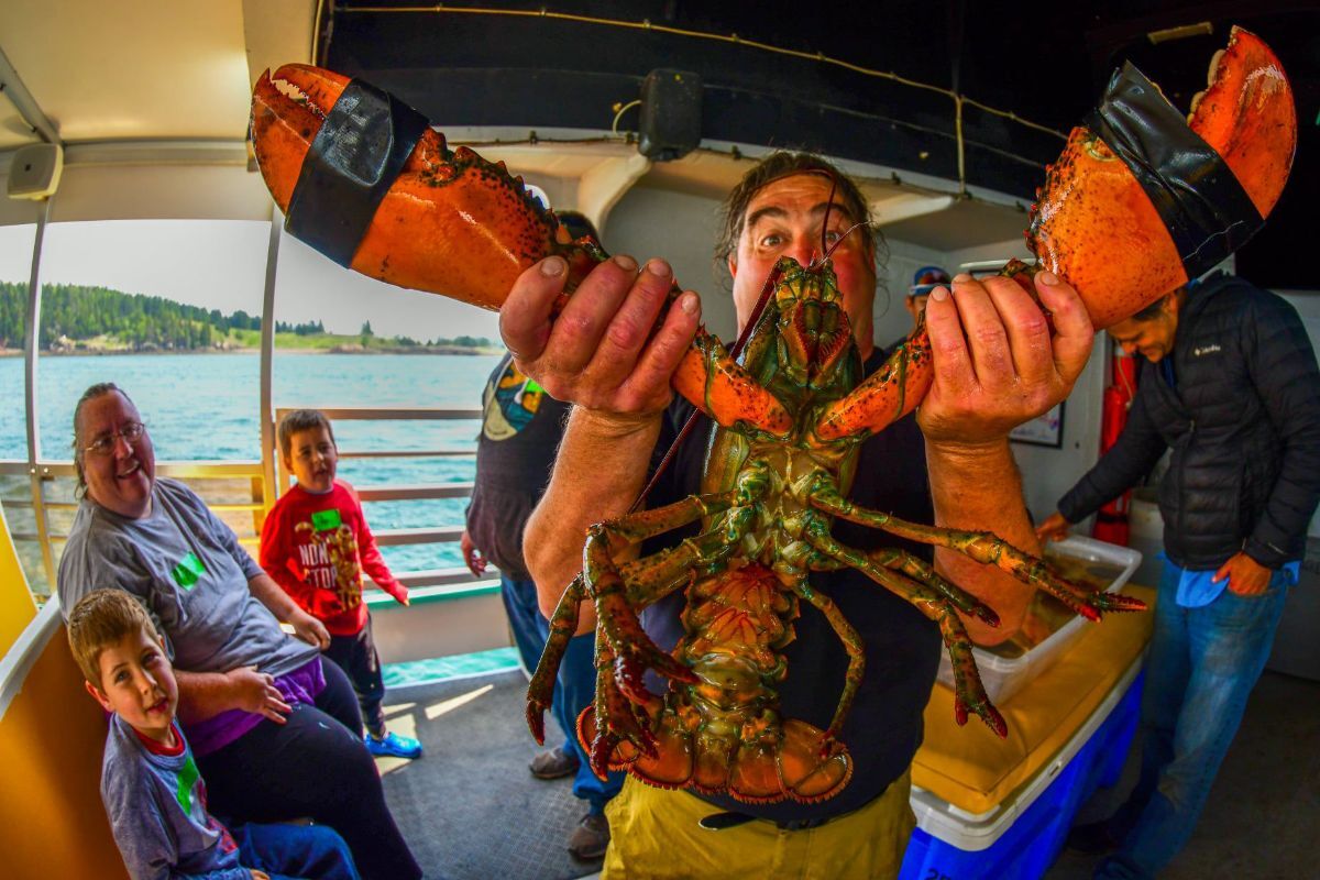 Diver Ed’s Dive-In Theater returns to Bar Harbor | Arts & Living ...