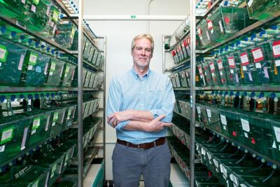 MDI lab awarded $3.14M for kidney research | Arts & Living | mdislander.com