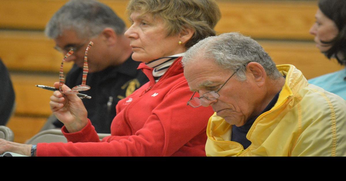 Allen, Bench elected to school panel | News | mdislander.com