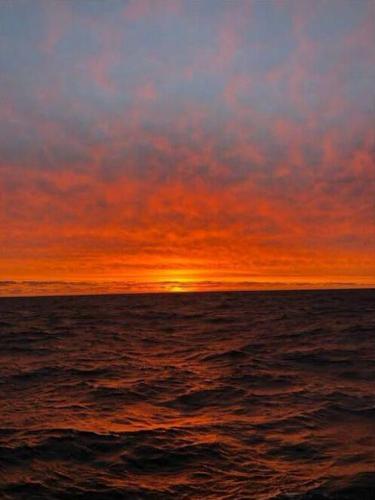 Islanders look for joy as they contribute to The Island Reader | Arts ...