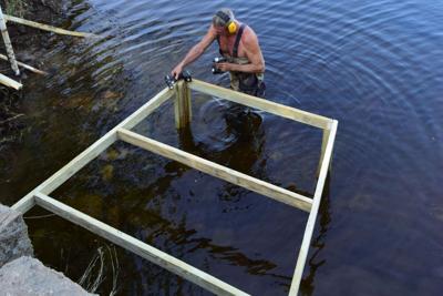 Beaver Deceivers keep culverts clear and beavers breathing | News ...