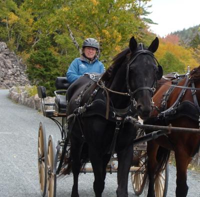 Robyn M. (Bachelder) Cuffey | Obituaries | mdislander.com