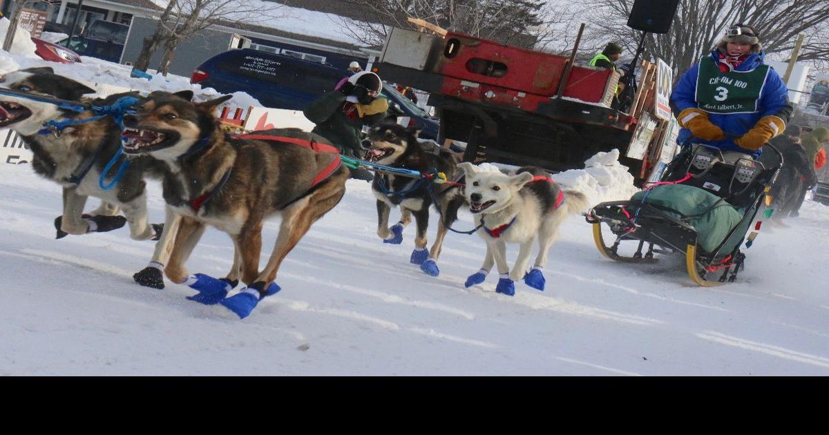 MDI musher completes Can-Am | Archives | mdislander.com
