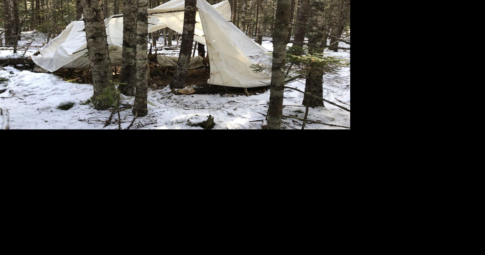 Sailhouse: How a stick house in the woods became so much more | Arts ...