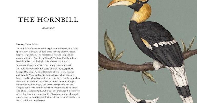 Bird lore author headlines Reading with Wings online event | Arts ...