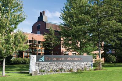 Jackson Laboratory and local caterer part ways | News | mdislander.com