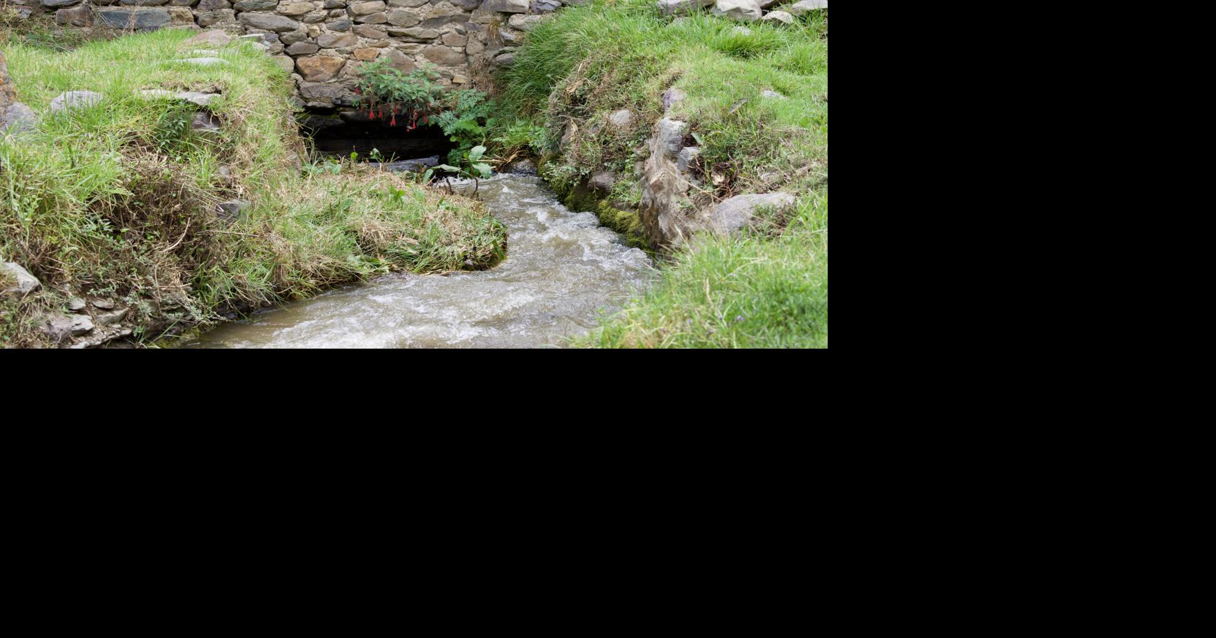 Perry awarded federal funds for Corbett Brook fish passage | Maritime ...