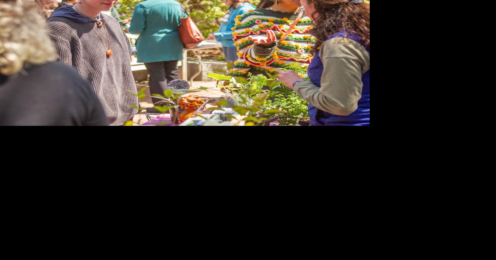COA hosts community Earth Day celebration | Environment | mdislander.com