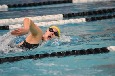 Swimmers take their mark | Sports | mdislander.com