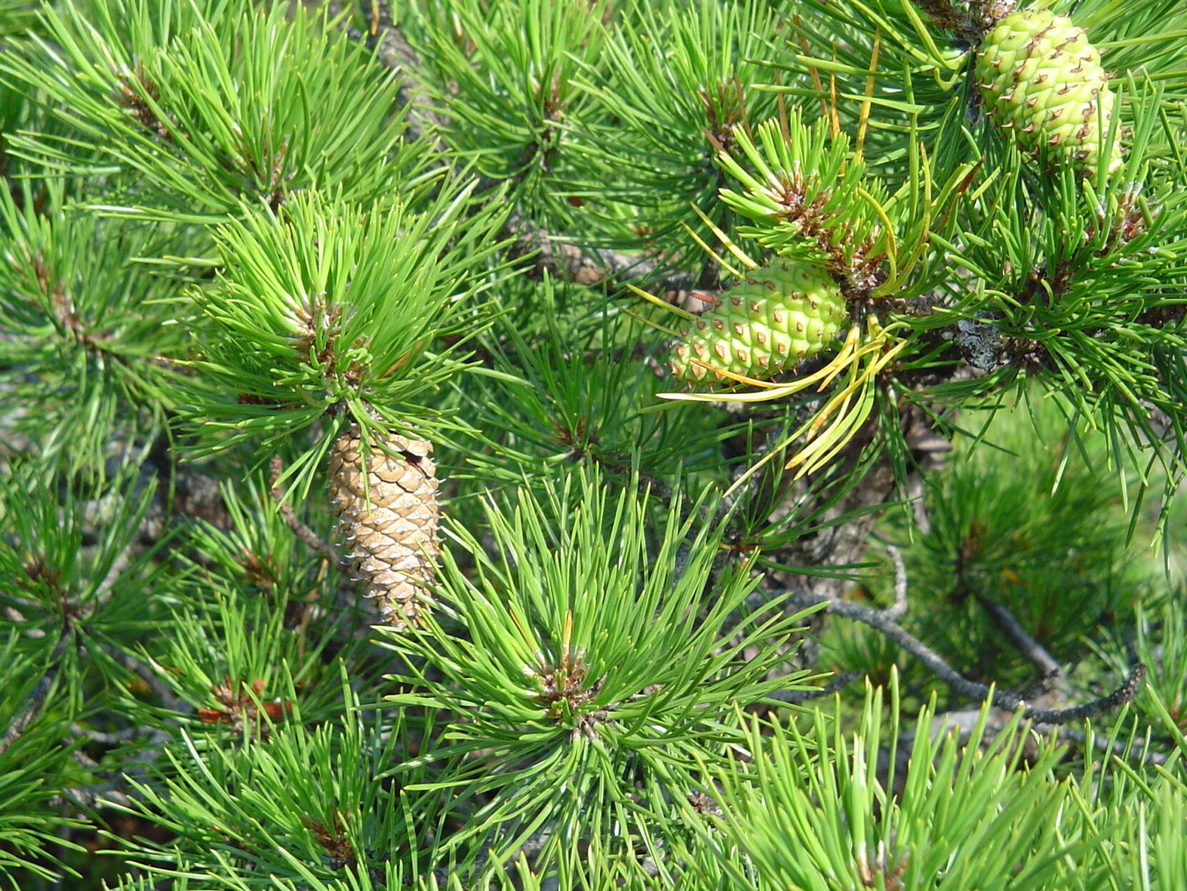 Page B4 | Digital Edition | mdislander.com