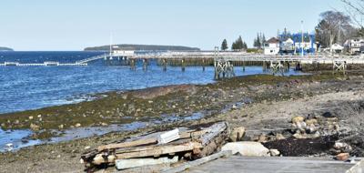 New harbormaster addresses broken float problem | News | mdislander.com