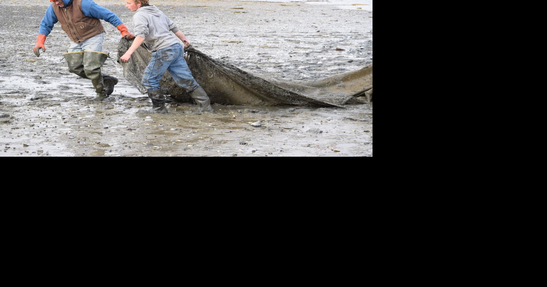 Clammers at Jones Cove | Maritime | mdislander.com