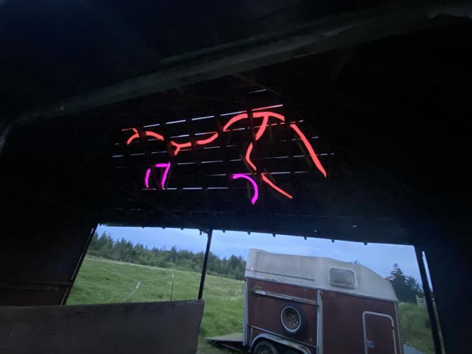 Willowind Therapeutic Riding Center creates sensory trail | Arts ...