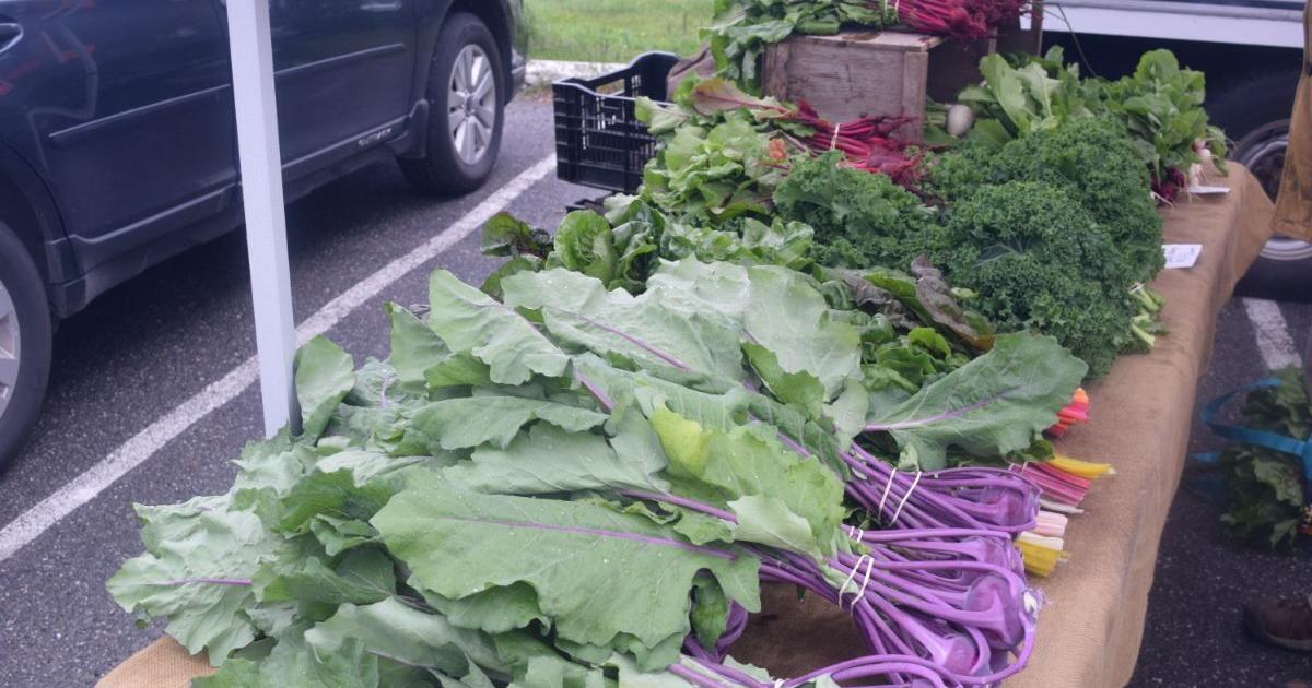 Another season of free produce for seniors begins | News | mdislander.com