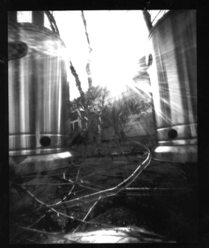 MDI High photography class exhibits at The Criterion | Arts & Living ...