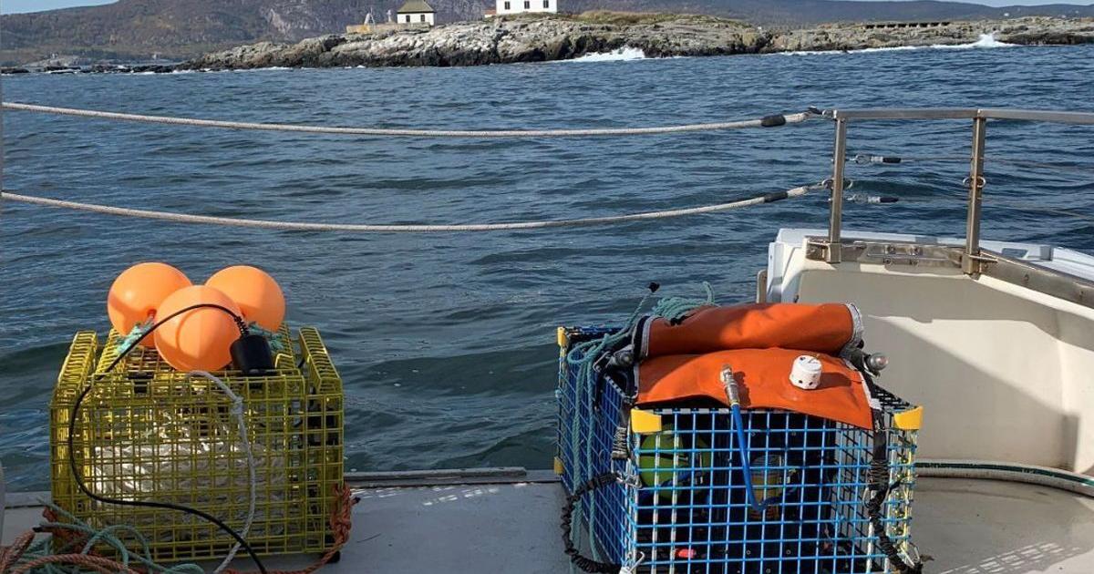 NOAA tests ropeless lobster gear | Maritime | mdislander.com