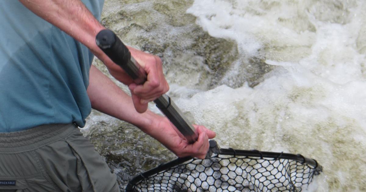 Cherryfield Ice Dam to be removed in favor of 'nature-like' fishway ...