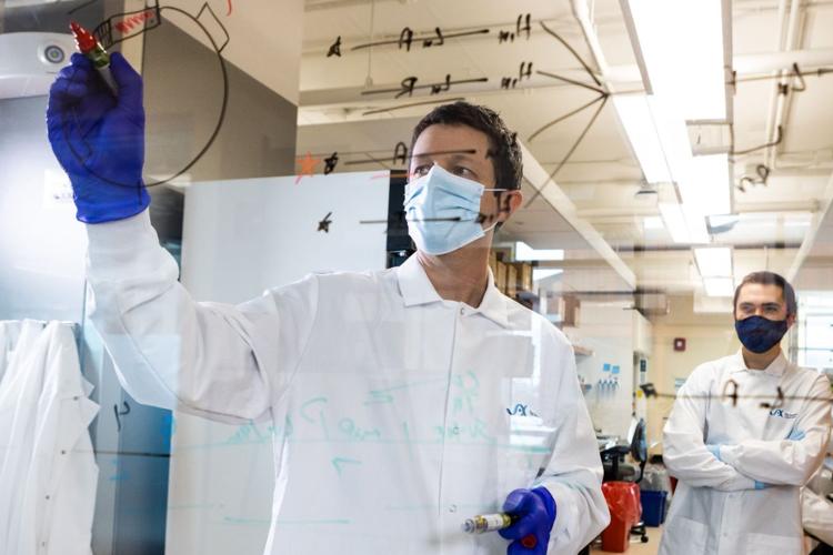 Sen. Collins secures millions for JAX, MDI Biological Lab | Business ...