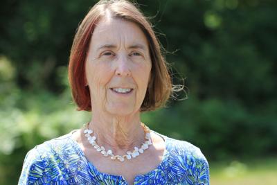 How local government works | Entertainment | mdislander.com