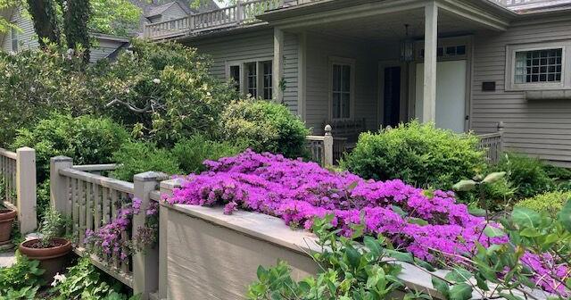 Garland Farm’s Open Days begin June 19 | Community | mdislander.com