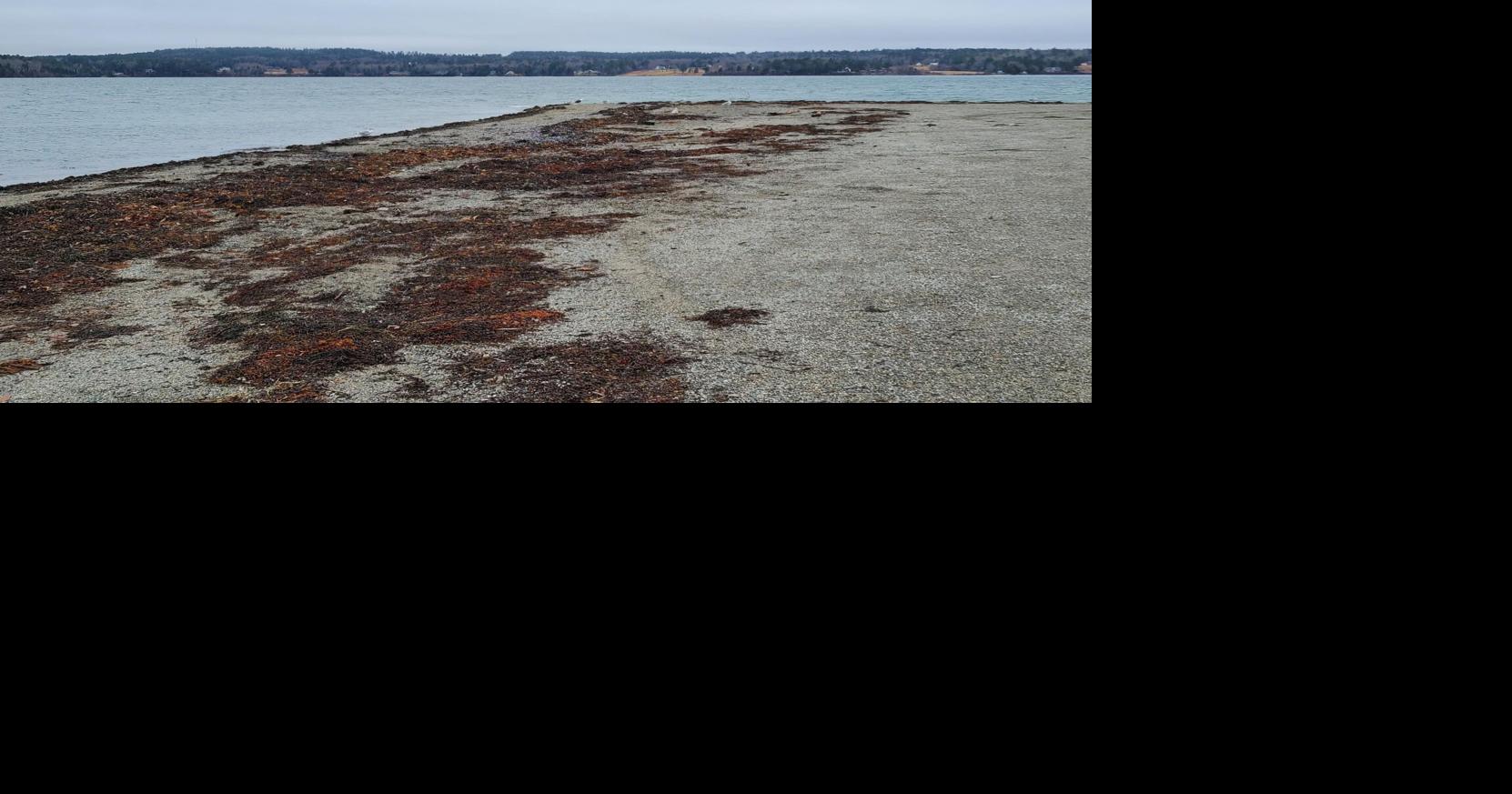 Hadley Point beach | | mdislander.com