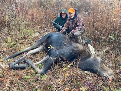 The moose hunt | Outdoors in Maine | mdislander.com