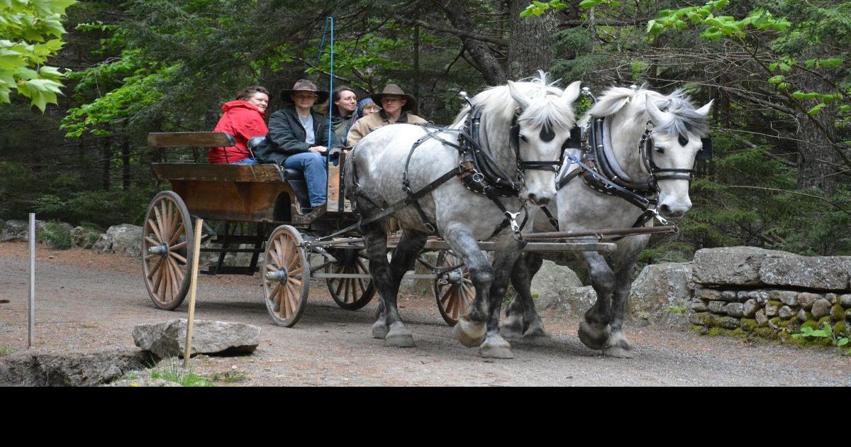 New operator chosen for Wildwood Stables, carriage rides | Tourism ...