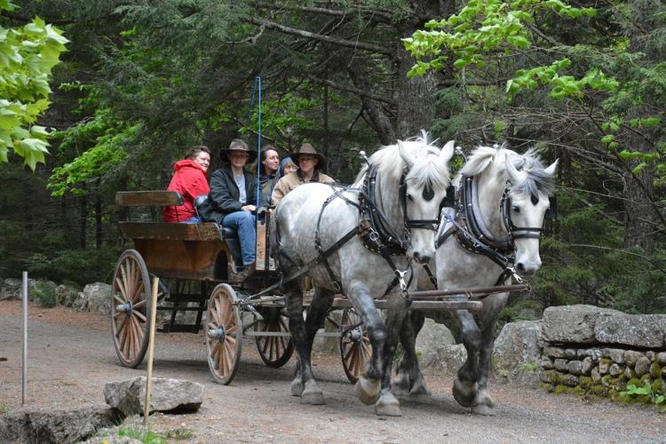 New operator chosen for Wildwood Stables, carriage rides | Tourism ...
