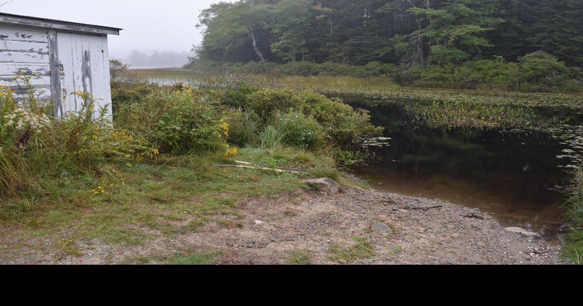 Pond access preserved | Environment | mdislander.com