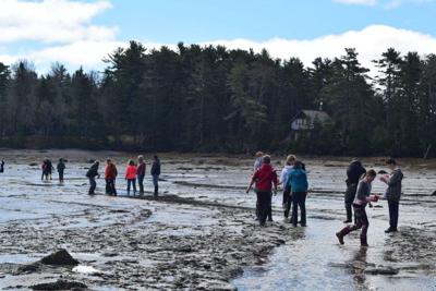 Shellfish warden needed for ordinance | News | mdislander.com