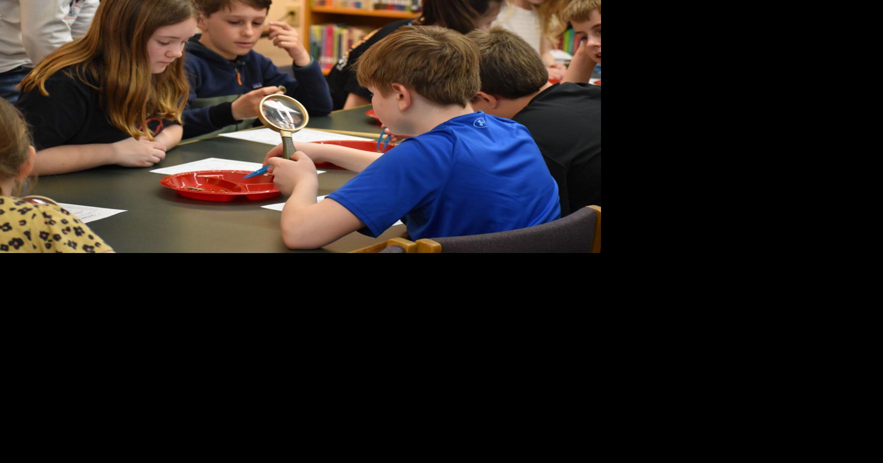 A hoot of a lesson: Pemetic students explore the secret life of owls ...
