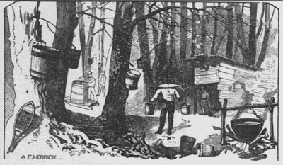 Maple sugaring workshop set | Arts & Living | mdislander.com